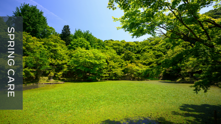 Spring Care | McDonald Construction